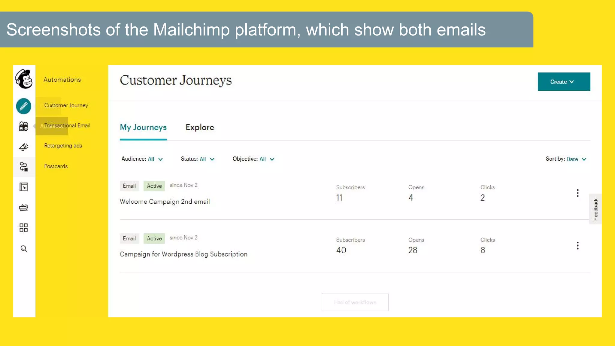 Email Marketing Live Project | PDF