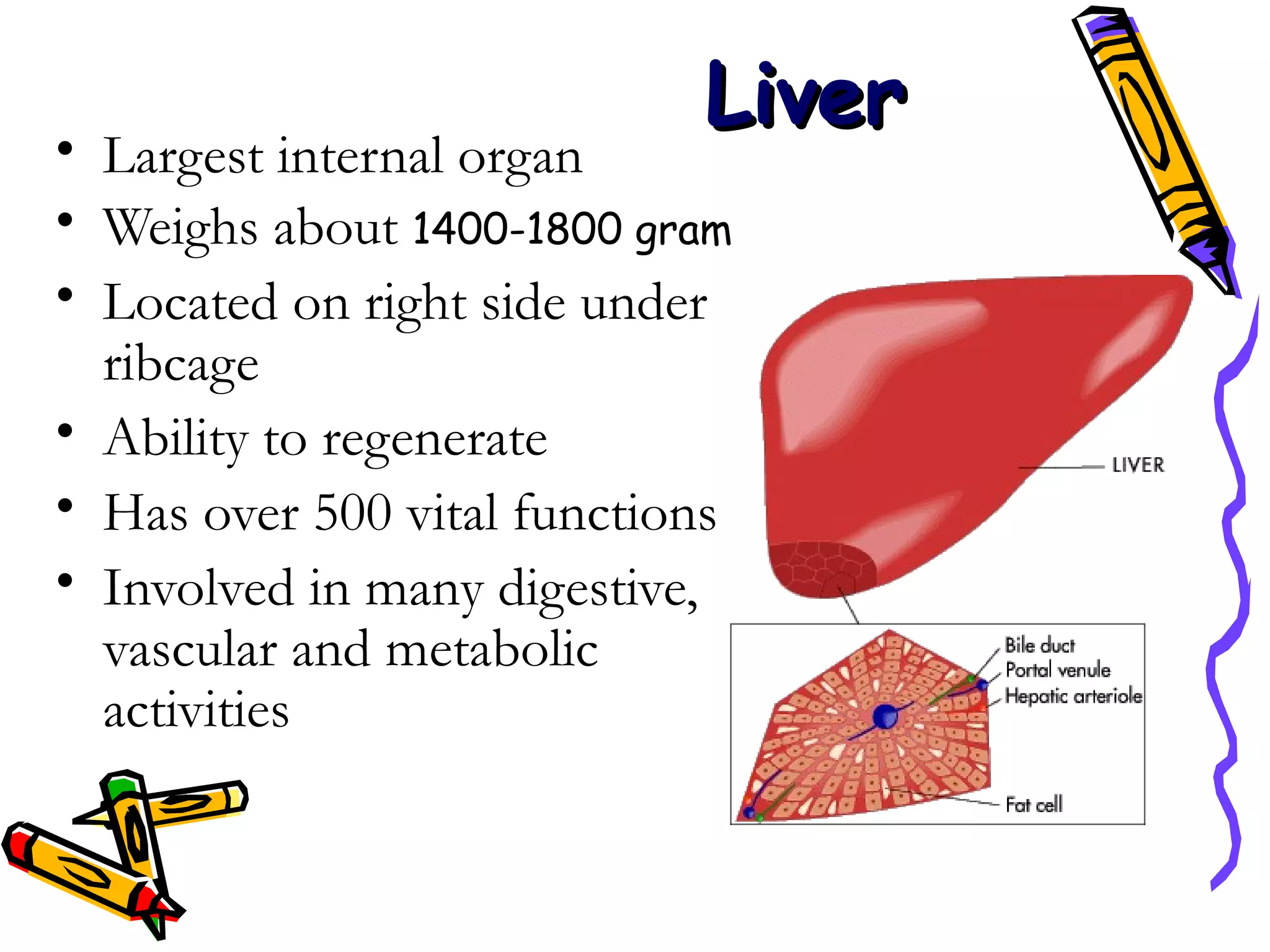 Pathophysiology of liver | PPT