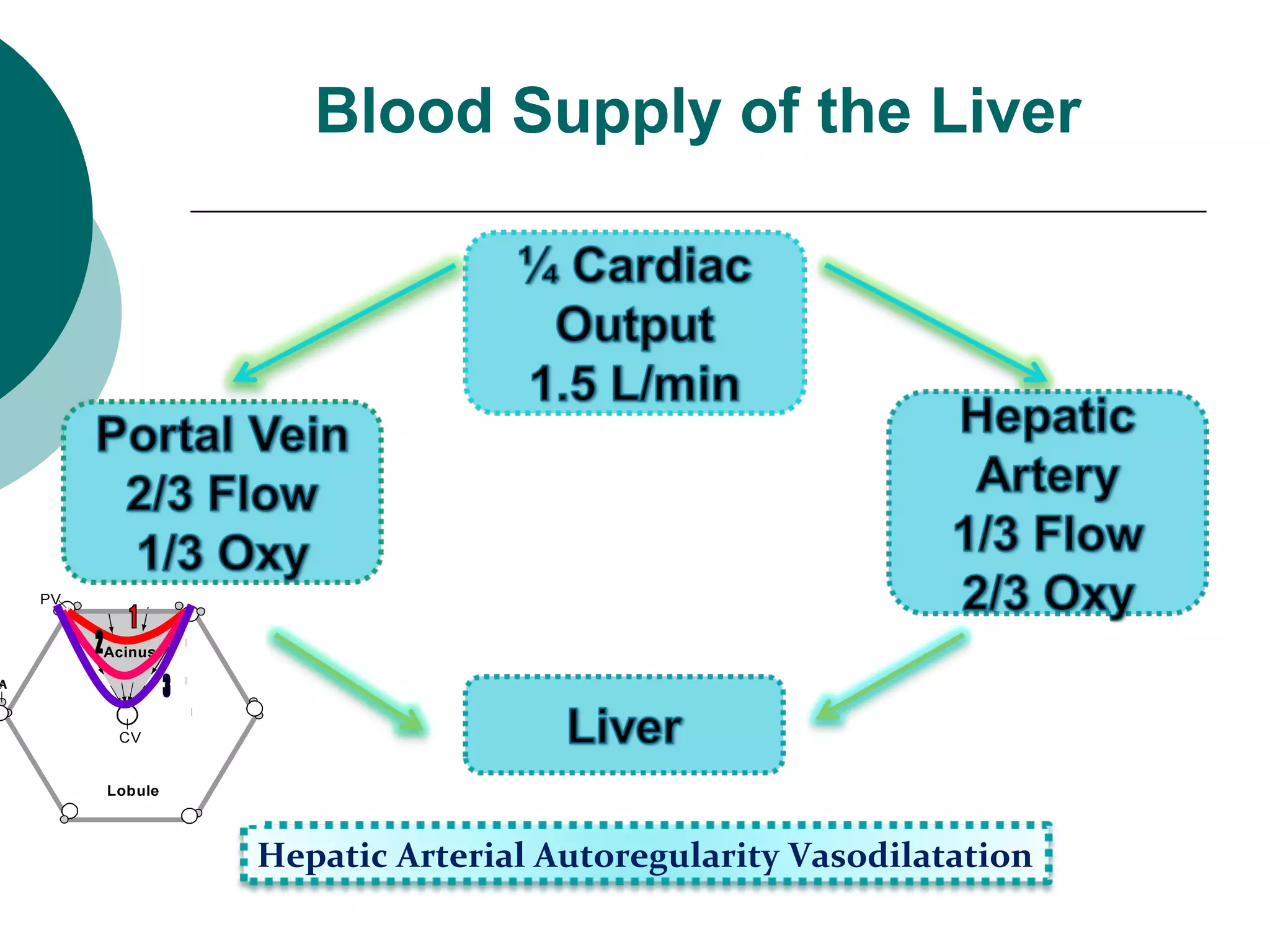 Pathophysiology of liver | PPT