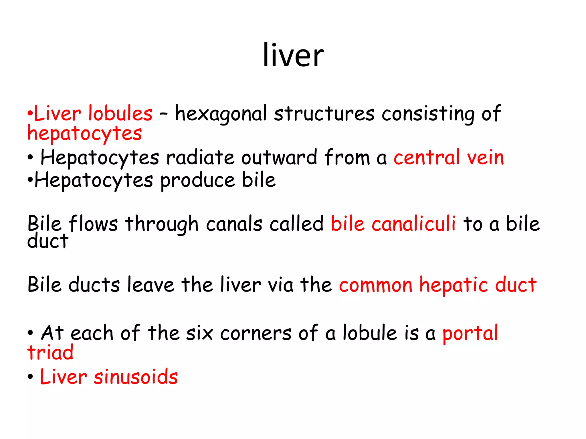 Liver | PPTX