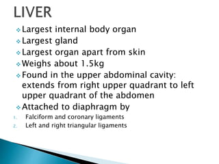 Liver and Liver function tests | PPTX