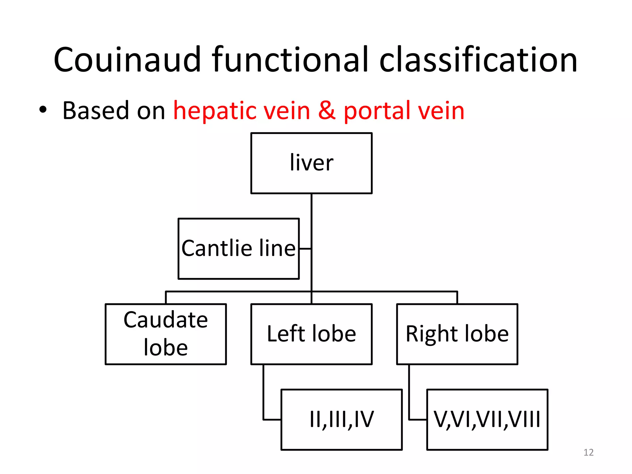 Liver ANATOMY,LFT,LIVER IMAGING | PPTX
