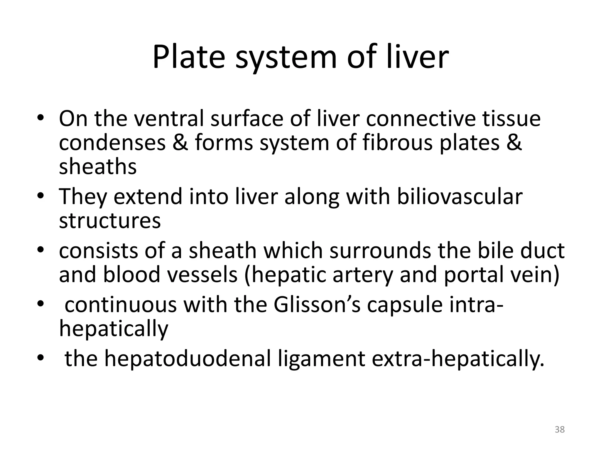 Liver ANATOMY,LFT,LIVER IMAGING | PPTX