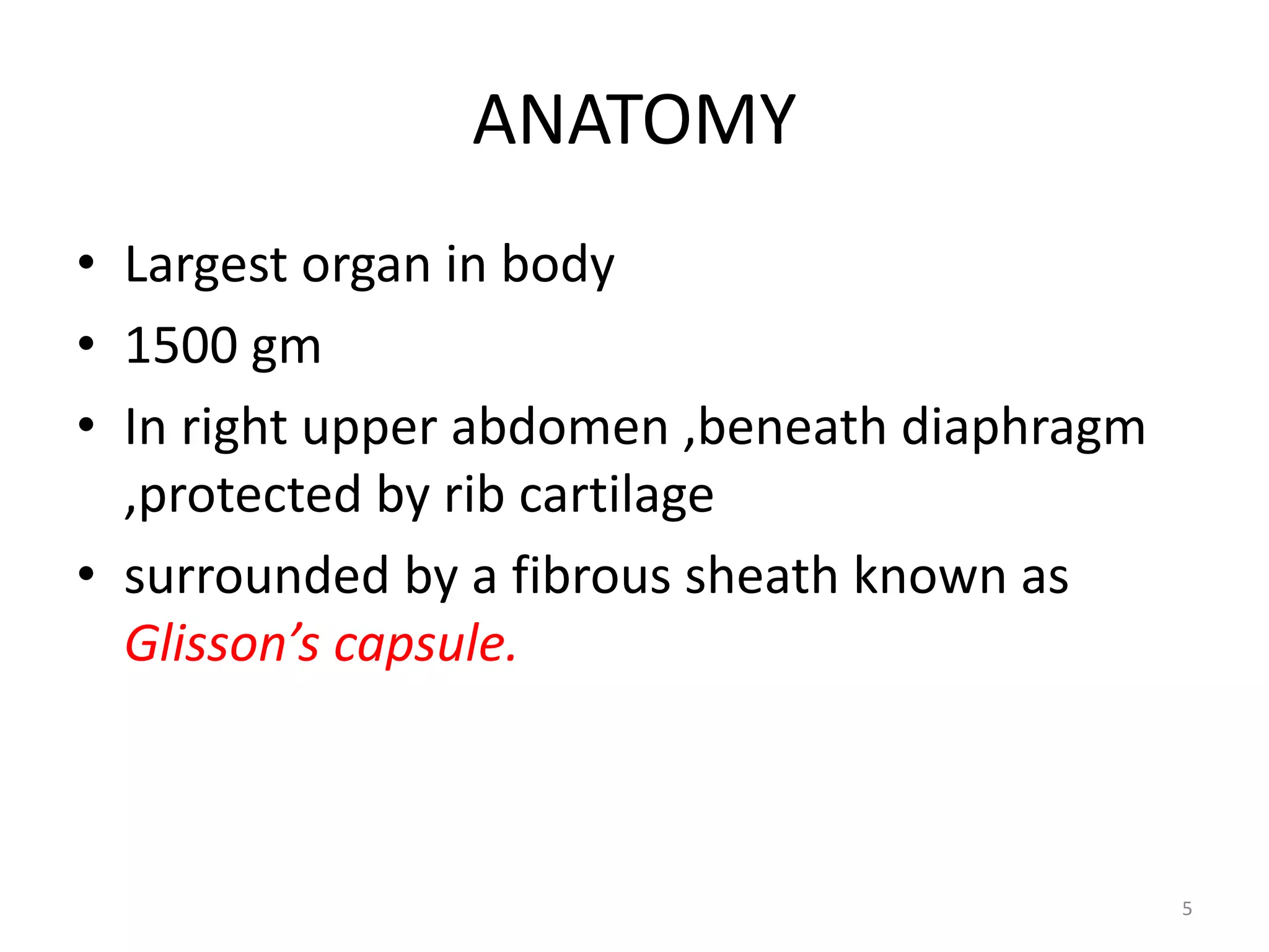 Liver ANATOMY,LFT,LIVER IMAGING | PPTX