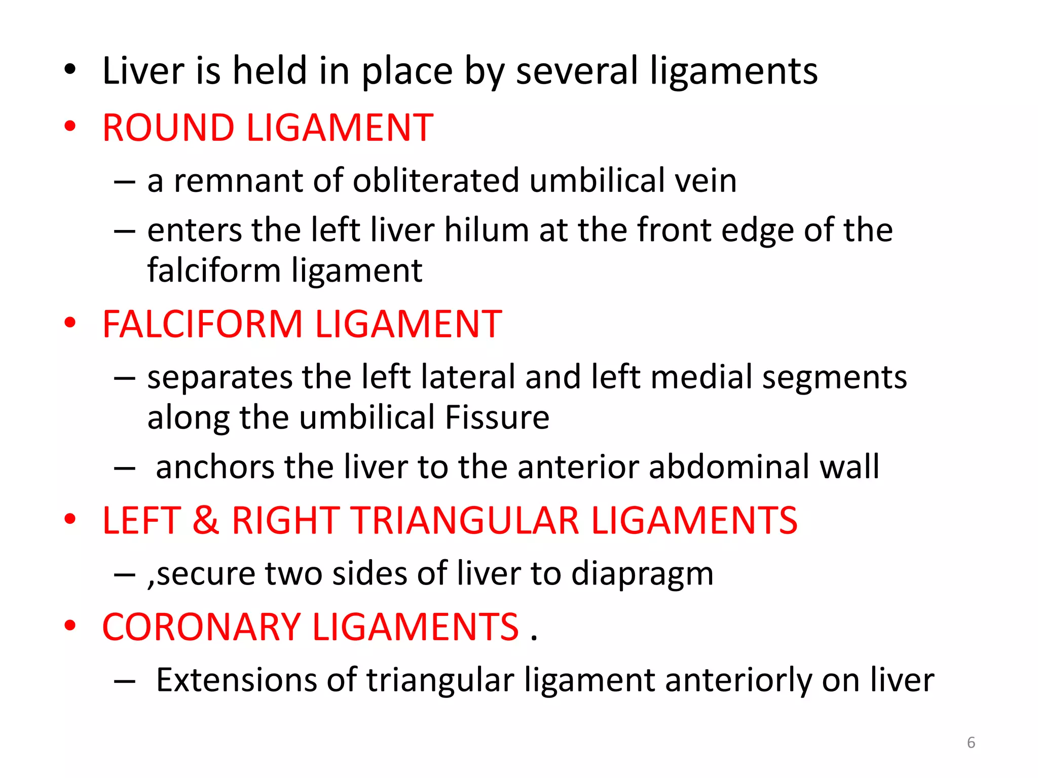 Liver ANATOMY,LFT,LIVER IMAGING | PPTX