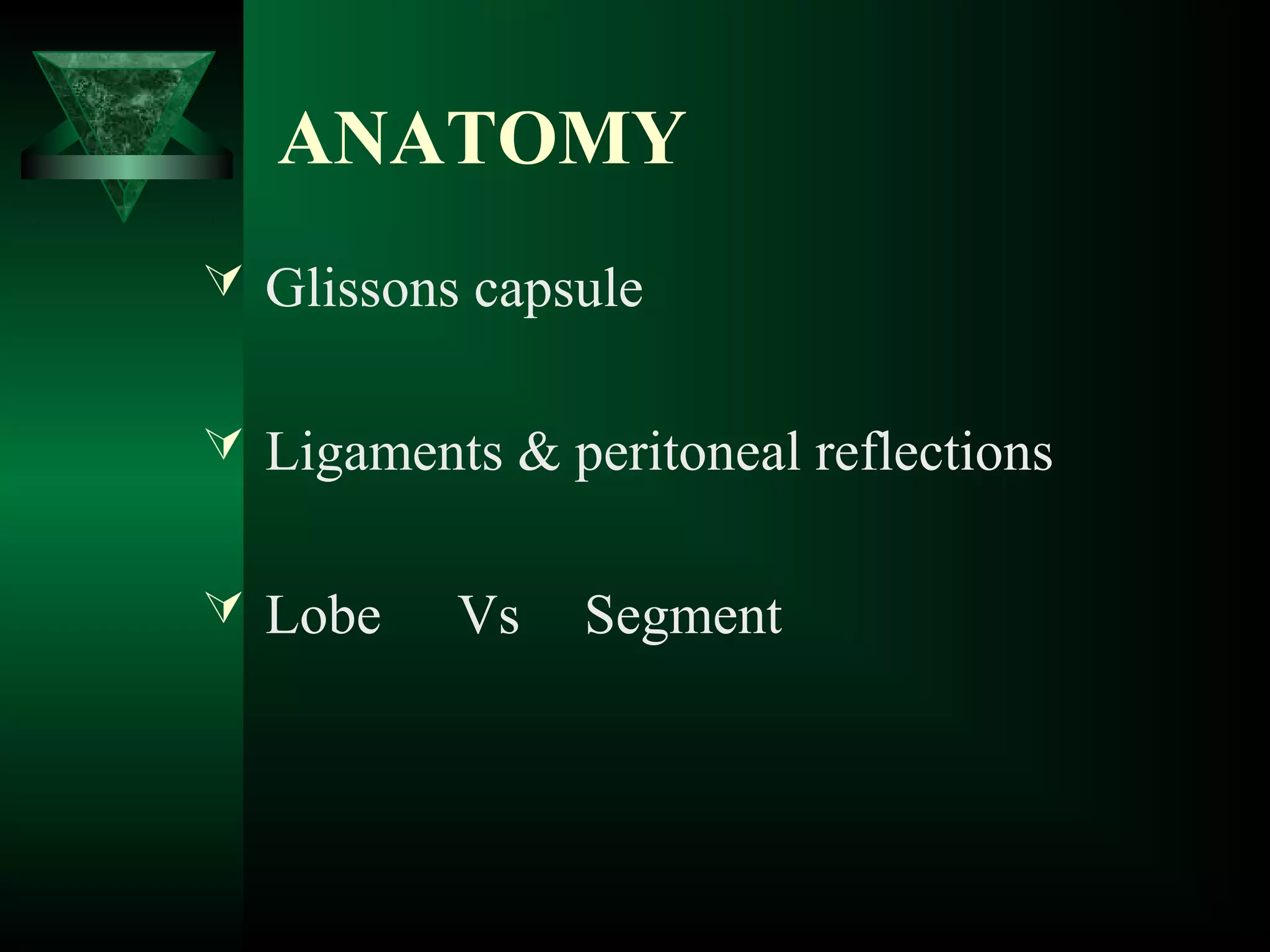 Liver | PPT | Blood Disorders | Diseases and Conditions