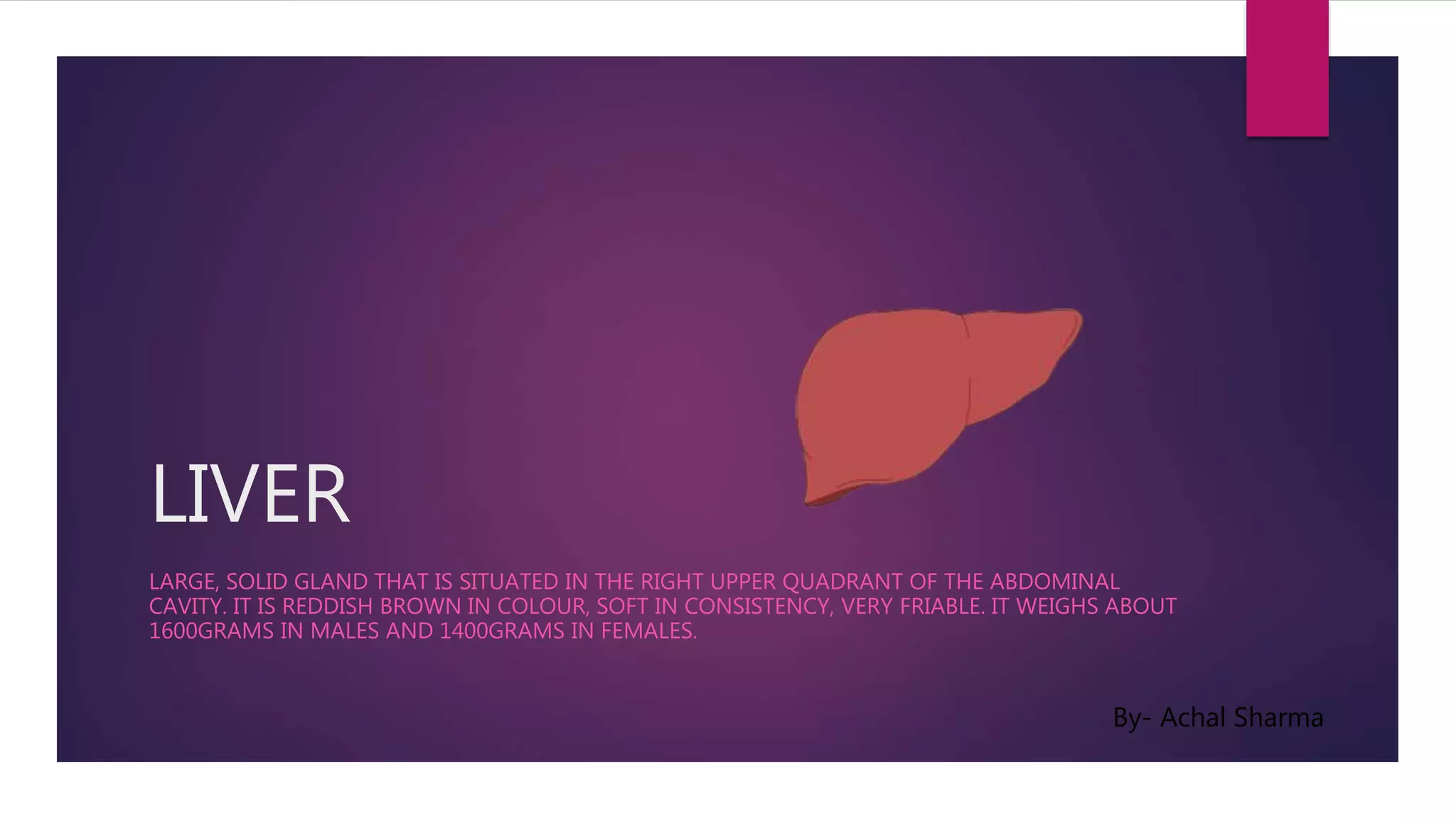 Anatomy Of Liver | PPT
