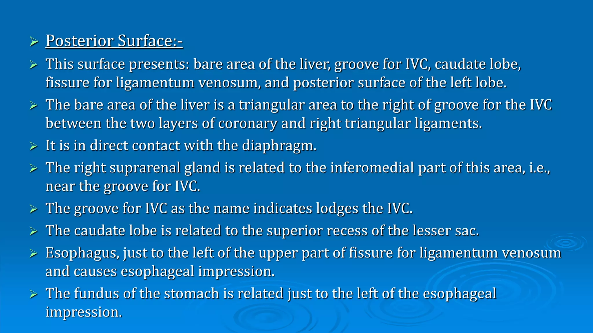 Liver | PPTX