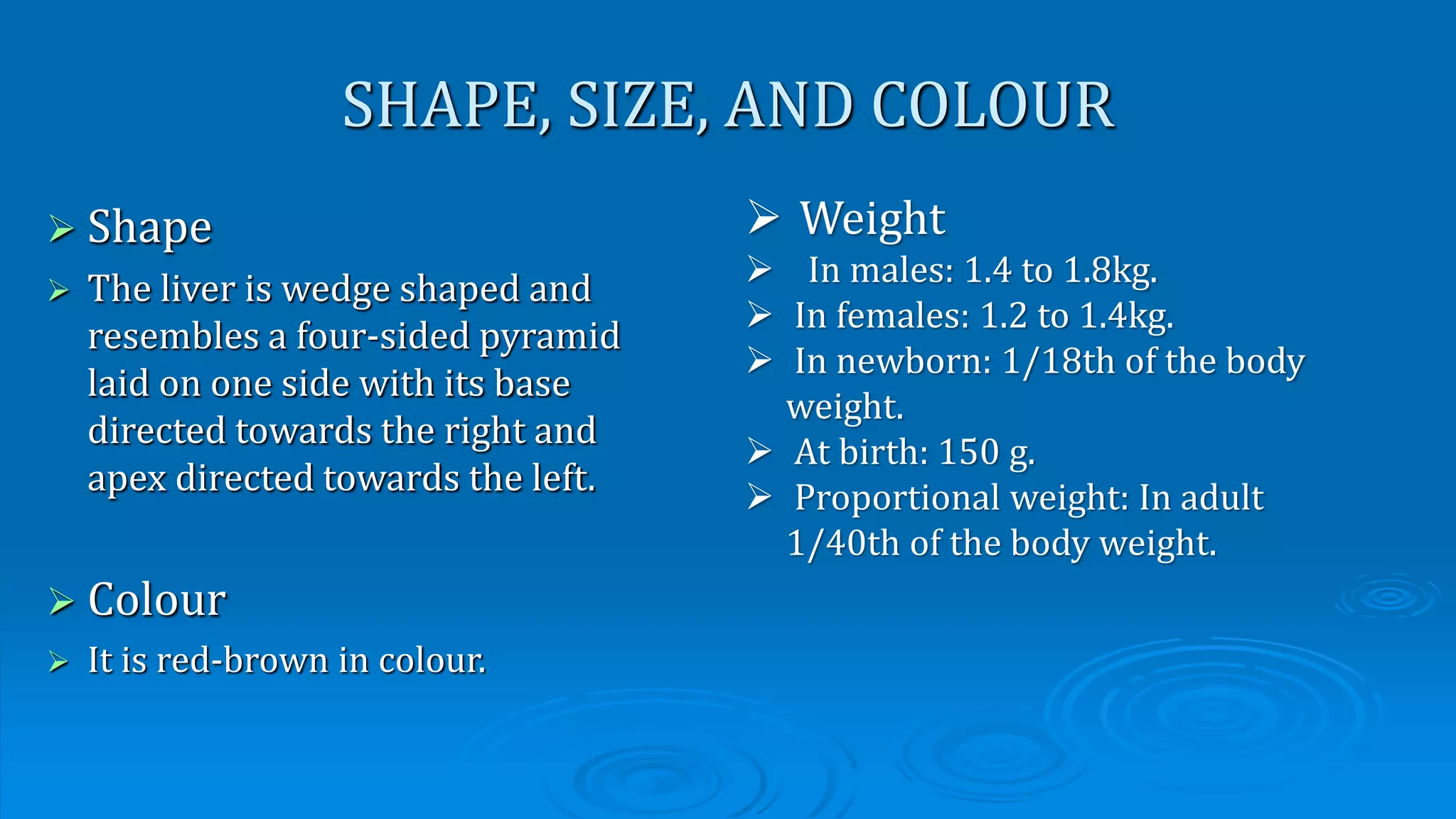 Liver | PPTX