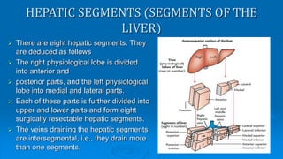 Liver | PPTX