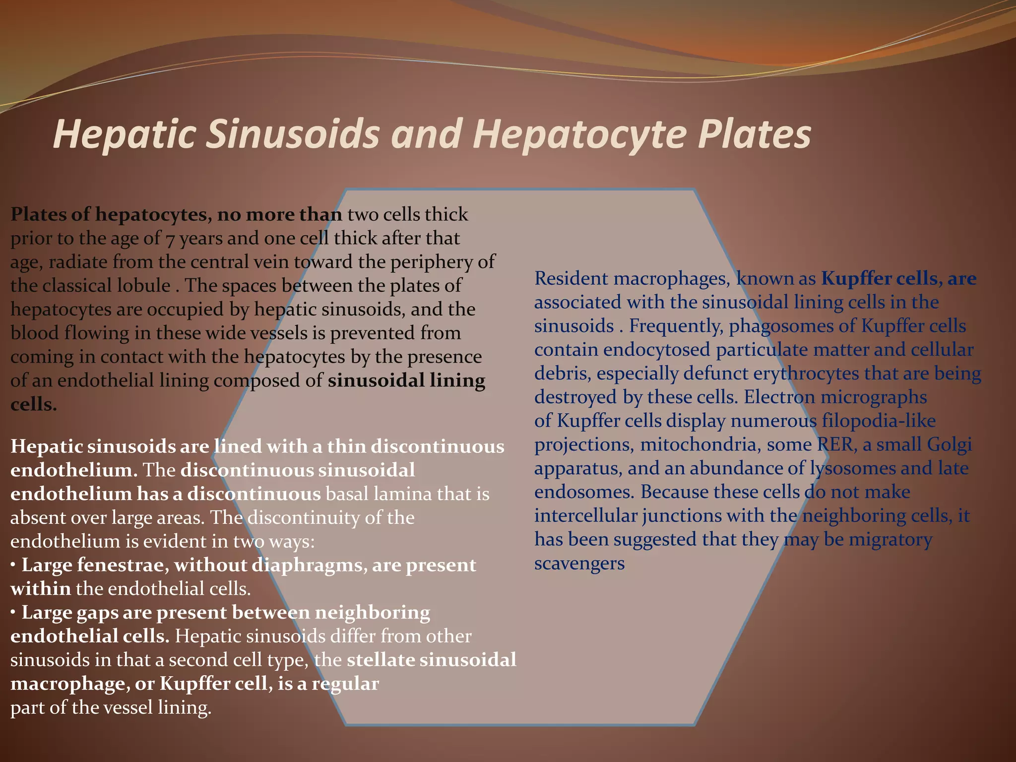 Liver anatomy and histology | PPTX