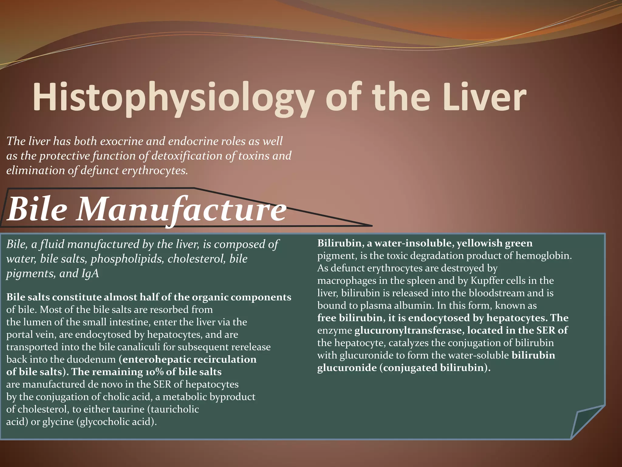 Liver anatomy and histology | PPTX