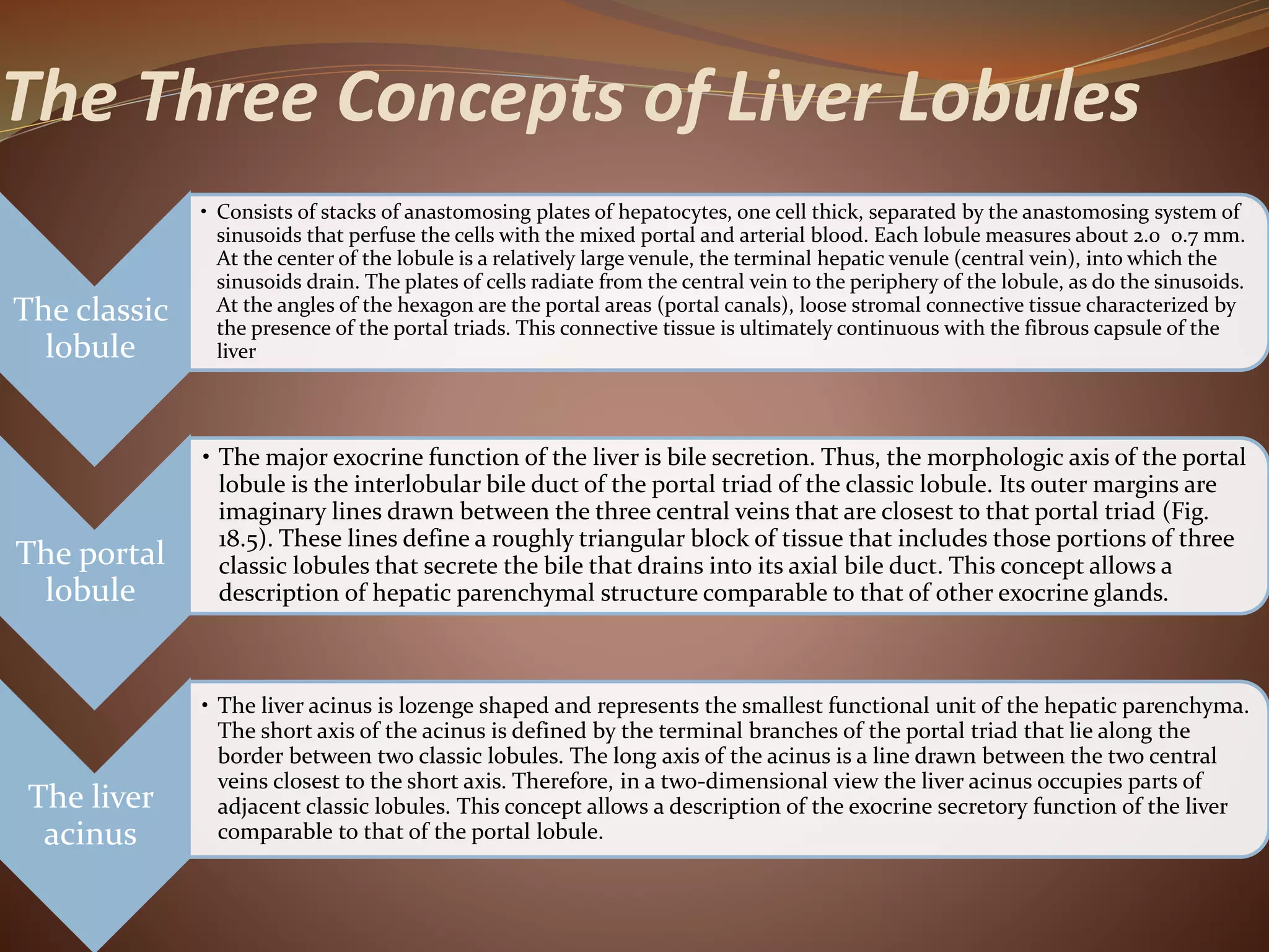 Liver anatomy and histology | PPTX