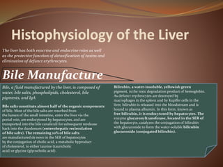 Liver anatomy and histology | PPTX