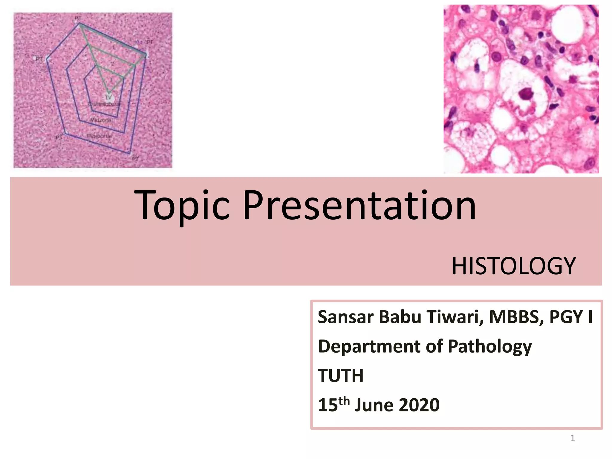 ALD, Cirrhosis, PBC and PSC | PPTX