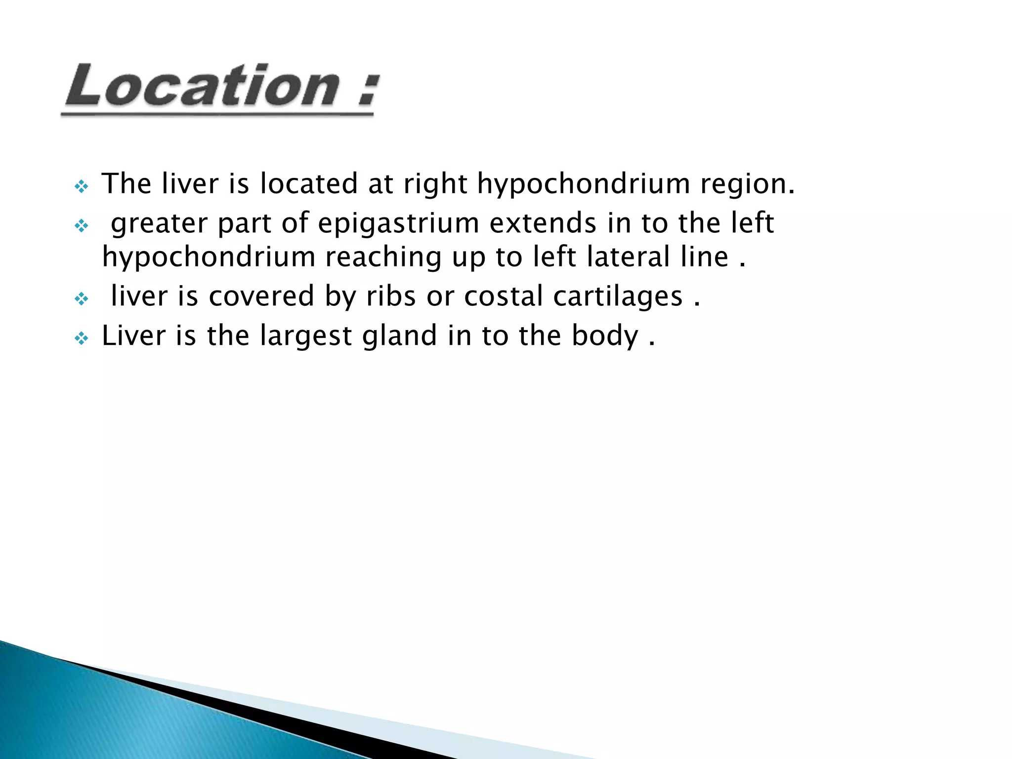 liver.pptx
