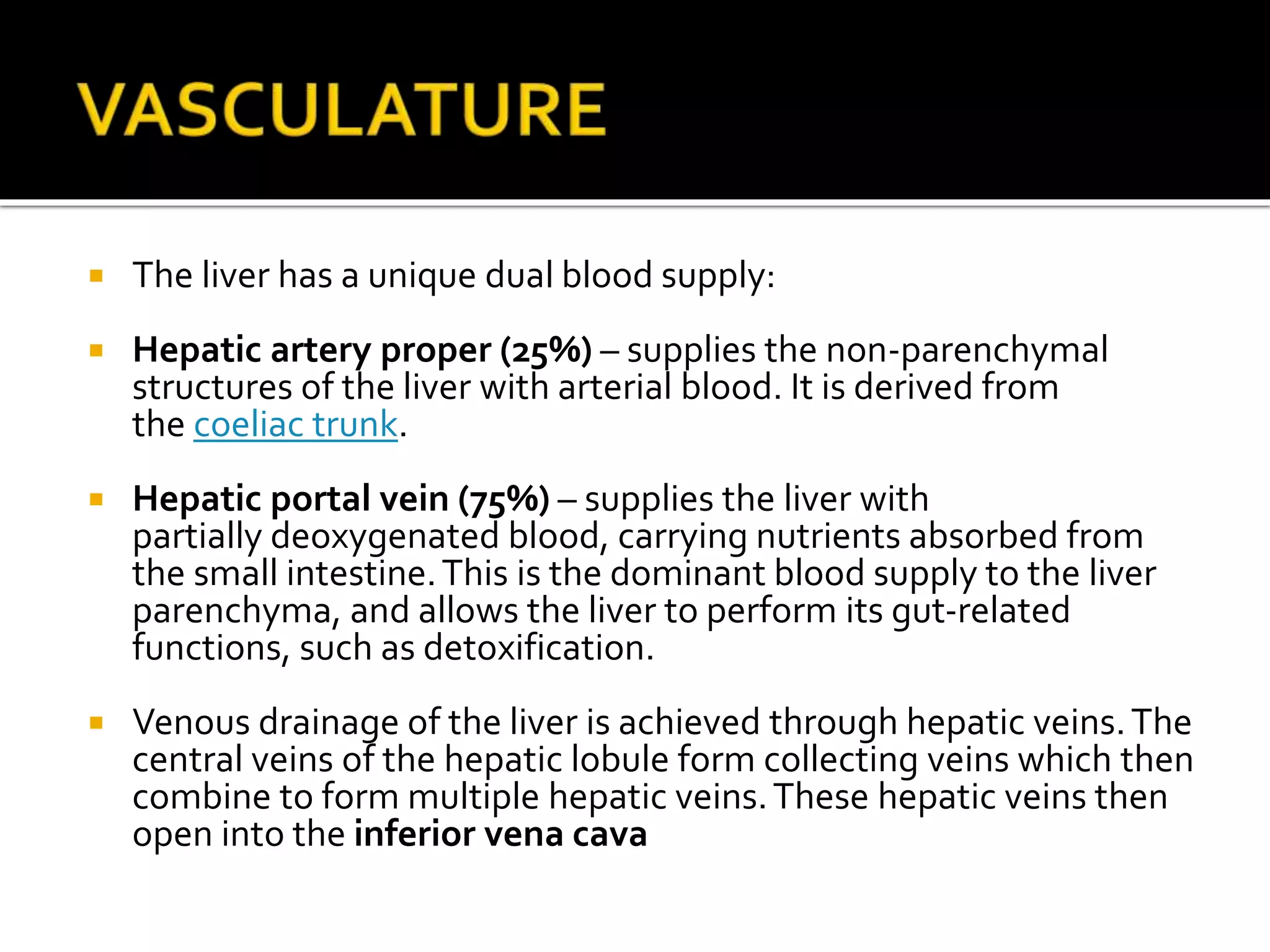 LIVER.pptx