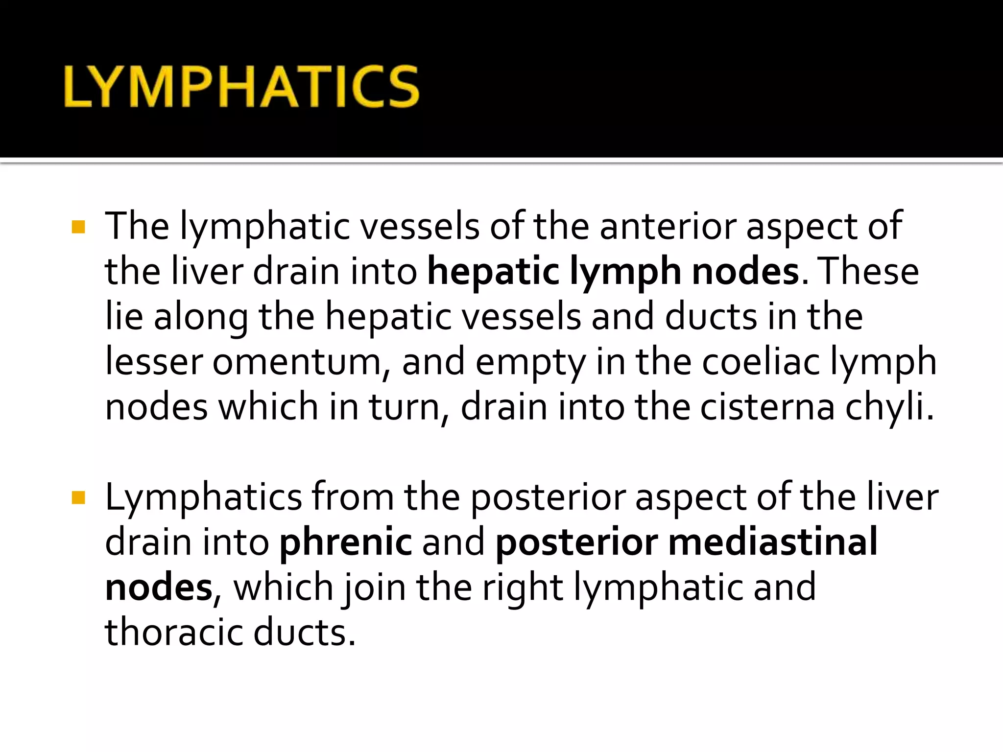 LIVER.pptx