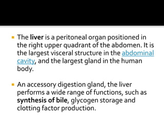 LIVER.pptx