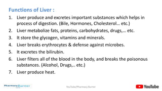 Liver Anatomy & Physiology | Parts of Liver | Structure & Functions of ...