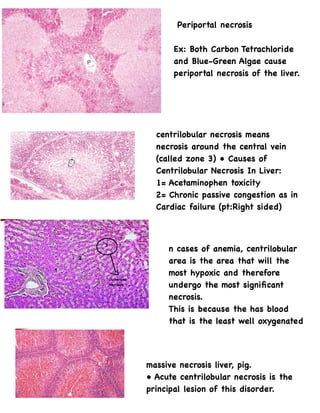 pathology photo | PDF