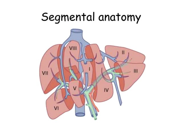 Liver Anatomy and Surgery- A guide towards liver resection | PPT