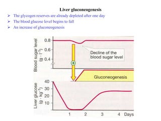 liver.ppt Biochemistry and clinical functions | PPT