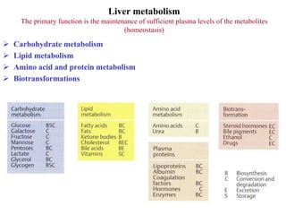 liver.ppt Biochemistry and clinical functions | PPT