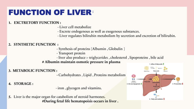Liver function test all about for DMLT by vaibhavstudents | PDF