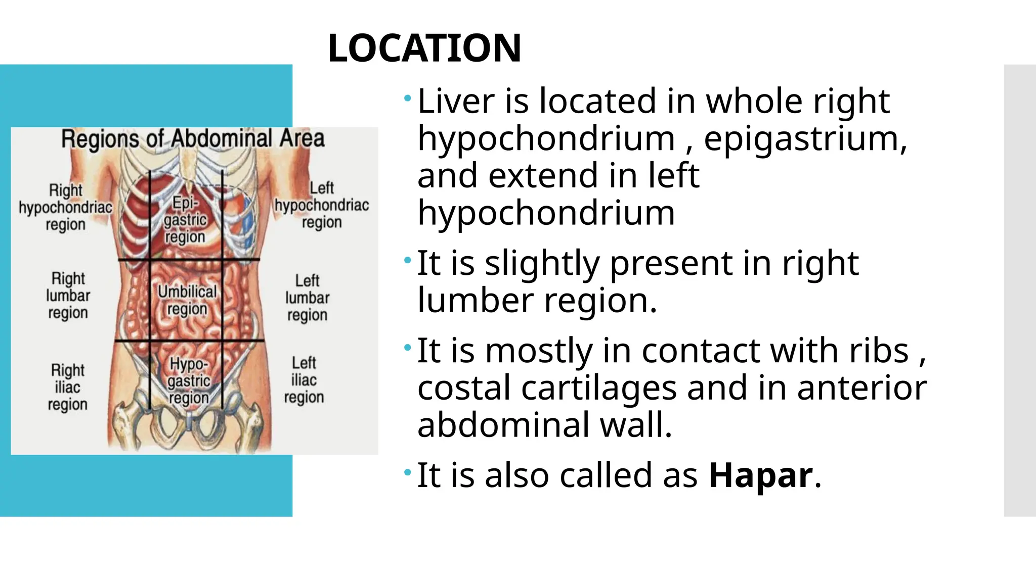 Liver.... introduction, feature, clinical anatomy | PPTX