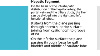 Liver.... introduction, feature, clinical anatomy | PPTX