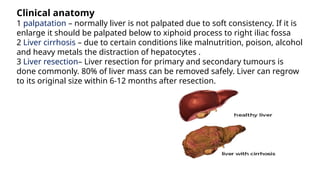 Liver.... introduction, feature, clinical anatomy | PPTX