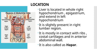 Liver.... introduction, feature, clinical anatomy | PPTX