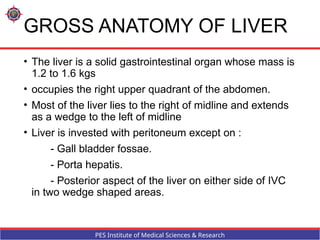 THE ANATOMY OF THE LIVER AND PATHOLOGIES.pptx