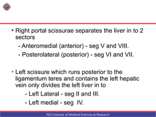THE ANATOMY OF THE LIVER AND PATHOLOGIES.pptx