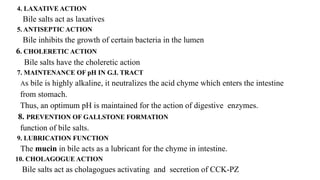 Digestive System - FUNCTIONAL ANATOMY OF LIVER,GALL BLADDER | PPTX