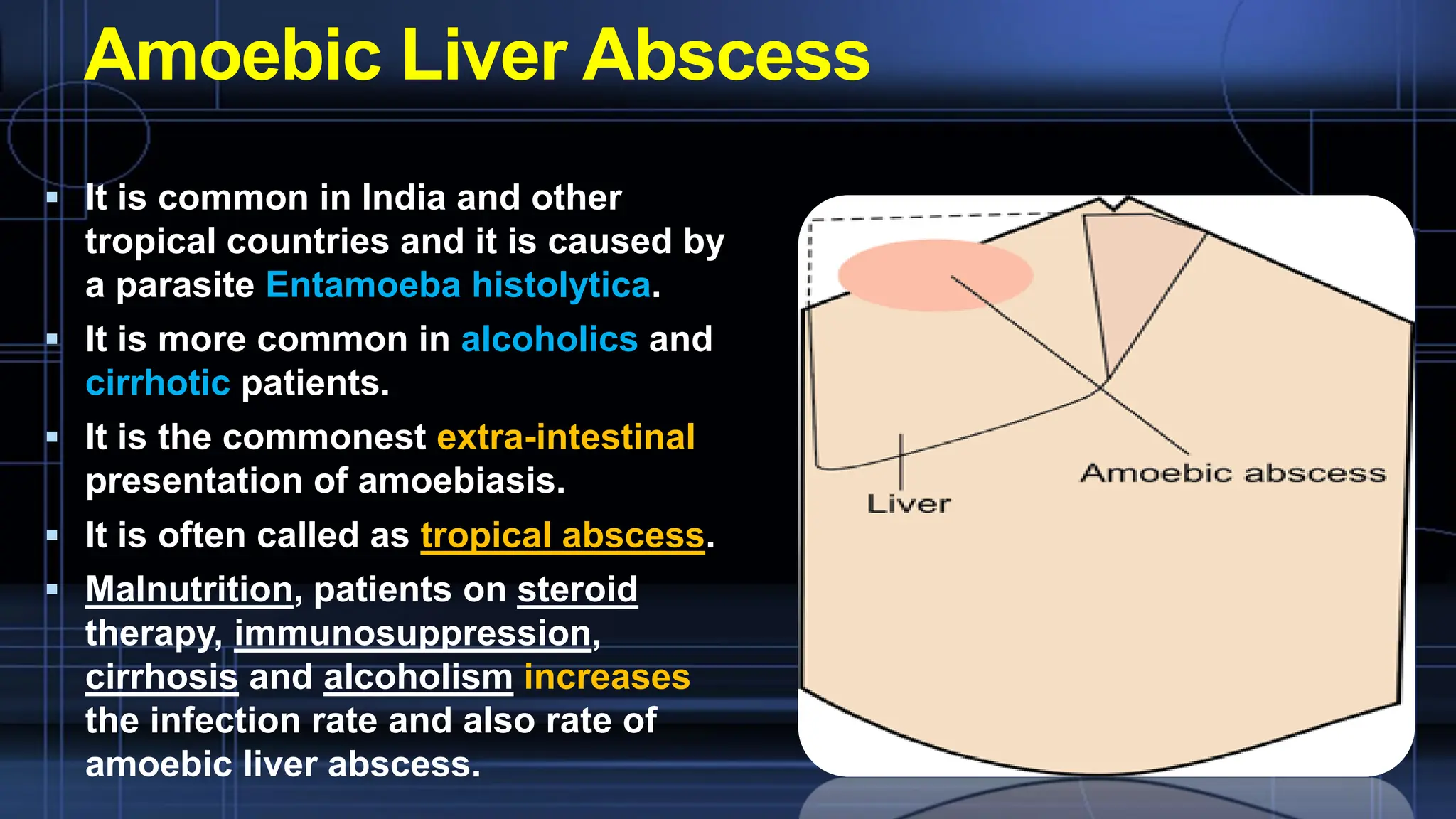 Liver - Surgical Anatomy, Abscess and Liver - Tumours | PDF