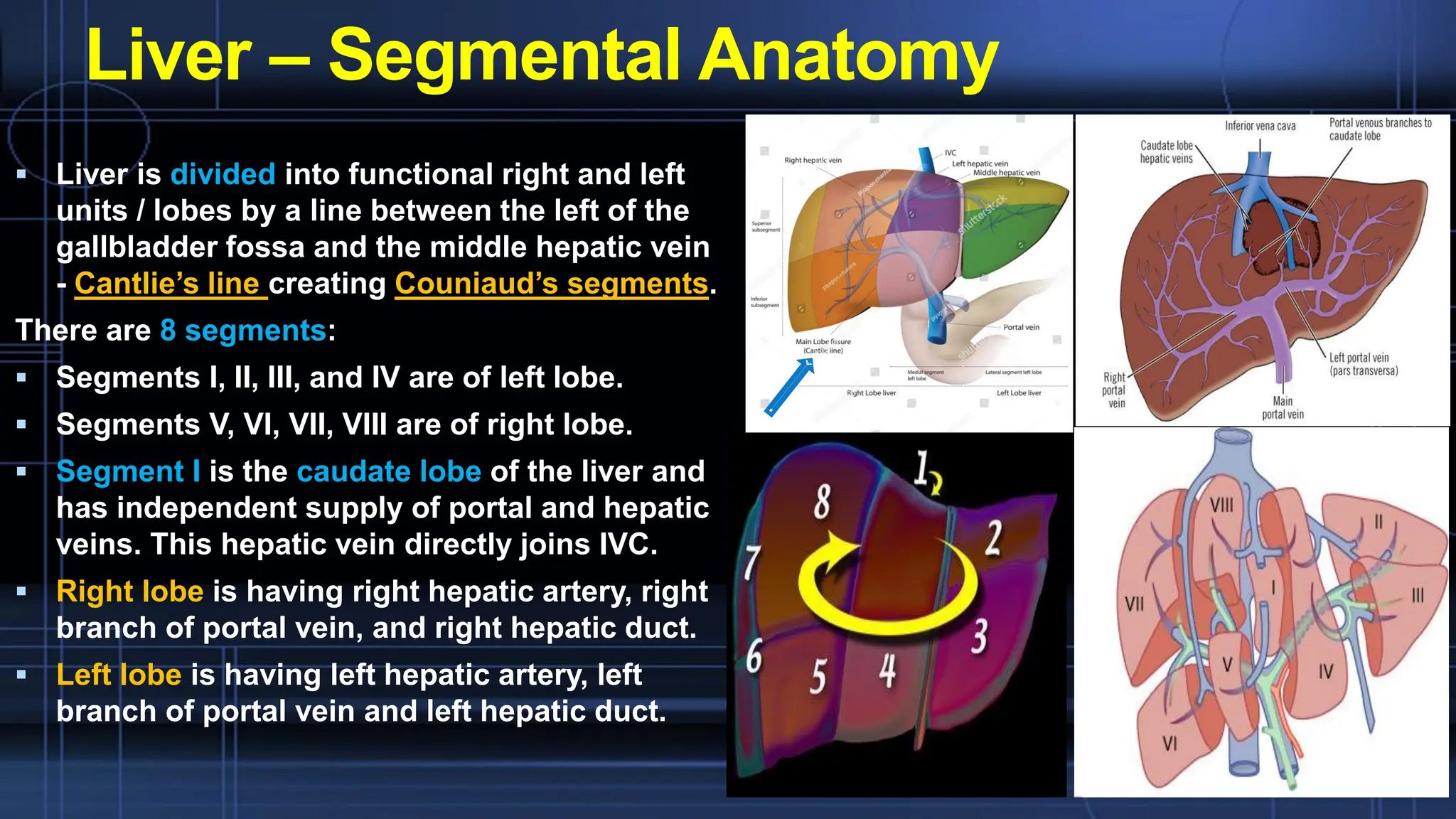 Liver - Surgical Anatomy, Abscess and Liver - Tumours | PPT