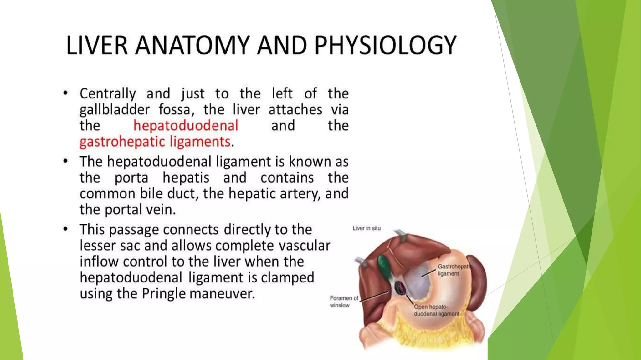 liver-assessments.pptx | Free Download