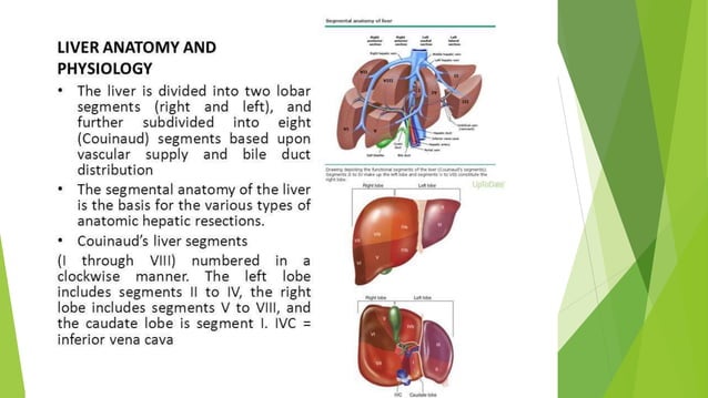 liver-assessments.pptx