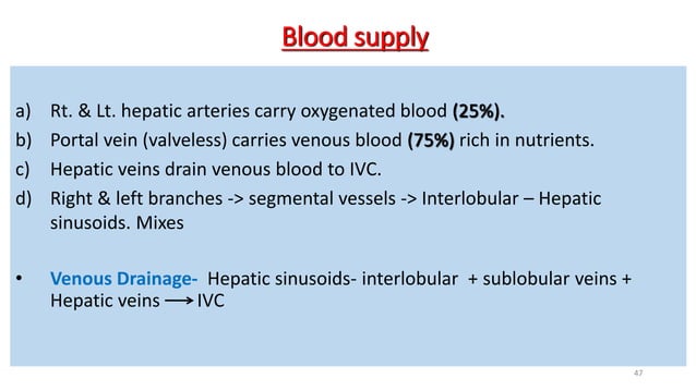 LIVER ANATOMY | PPTX