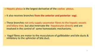 LIVER ANATOMY | PPTX