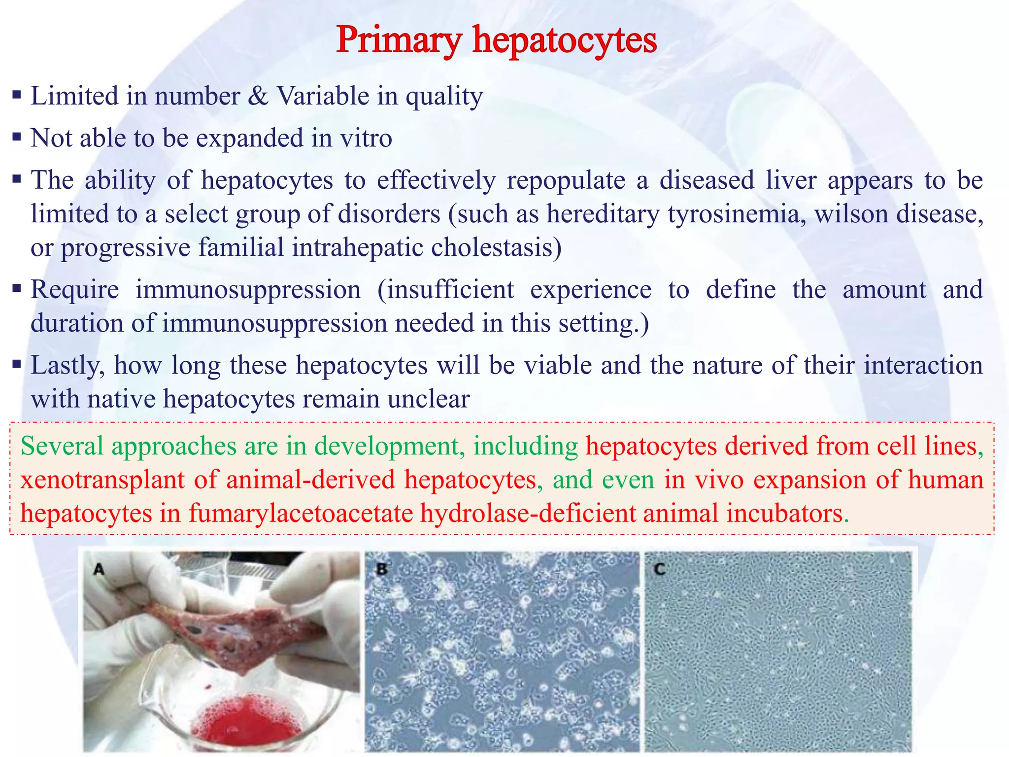 Liver stem-cell | PPTX