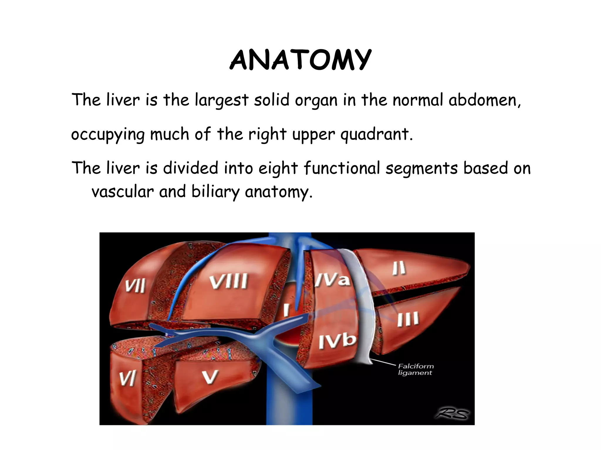 Liver Ultrasound | PPT