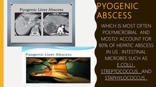 Liver abcess made easy | PPTX | Digestive Disorders | Diseases and ...
