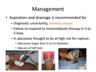 Liver abscess | PPT