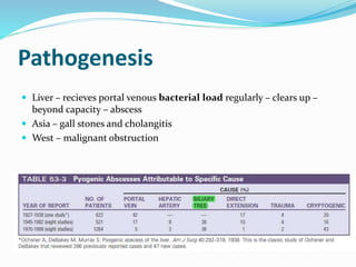 Liver Abscess | PPTX