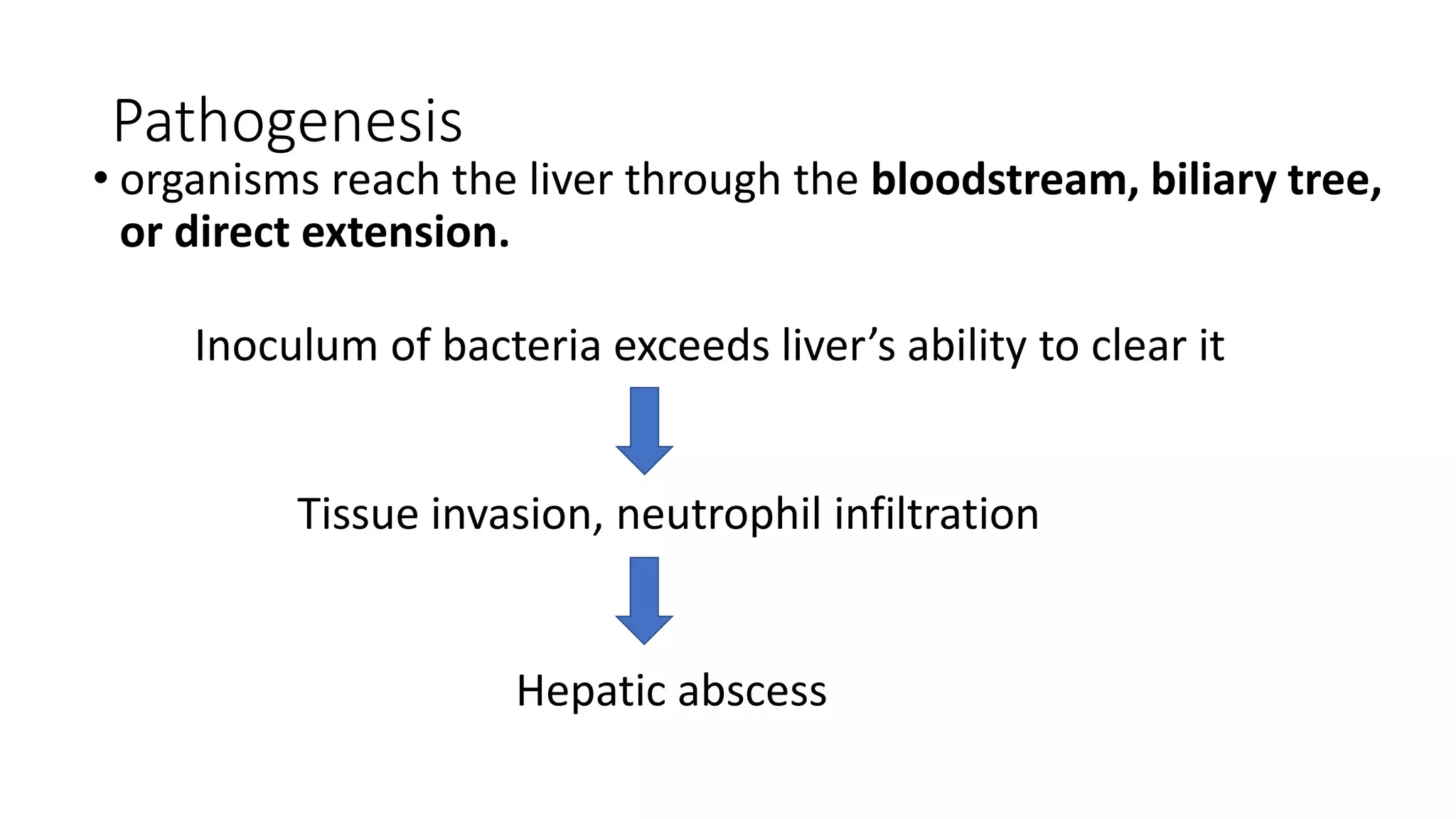 Liver abscess .pptx | Blood Disorders | Diseases and Conditions