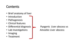 Liver abscess .pptx | Blood Disorders | Diseases and Conditions