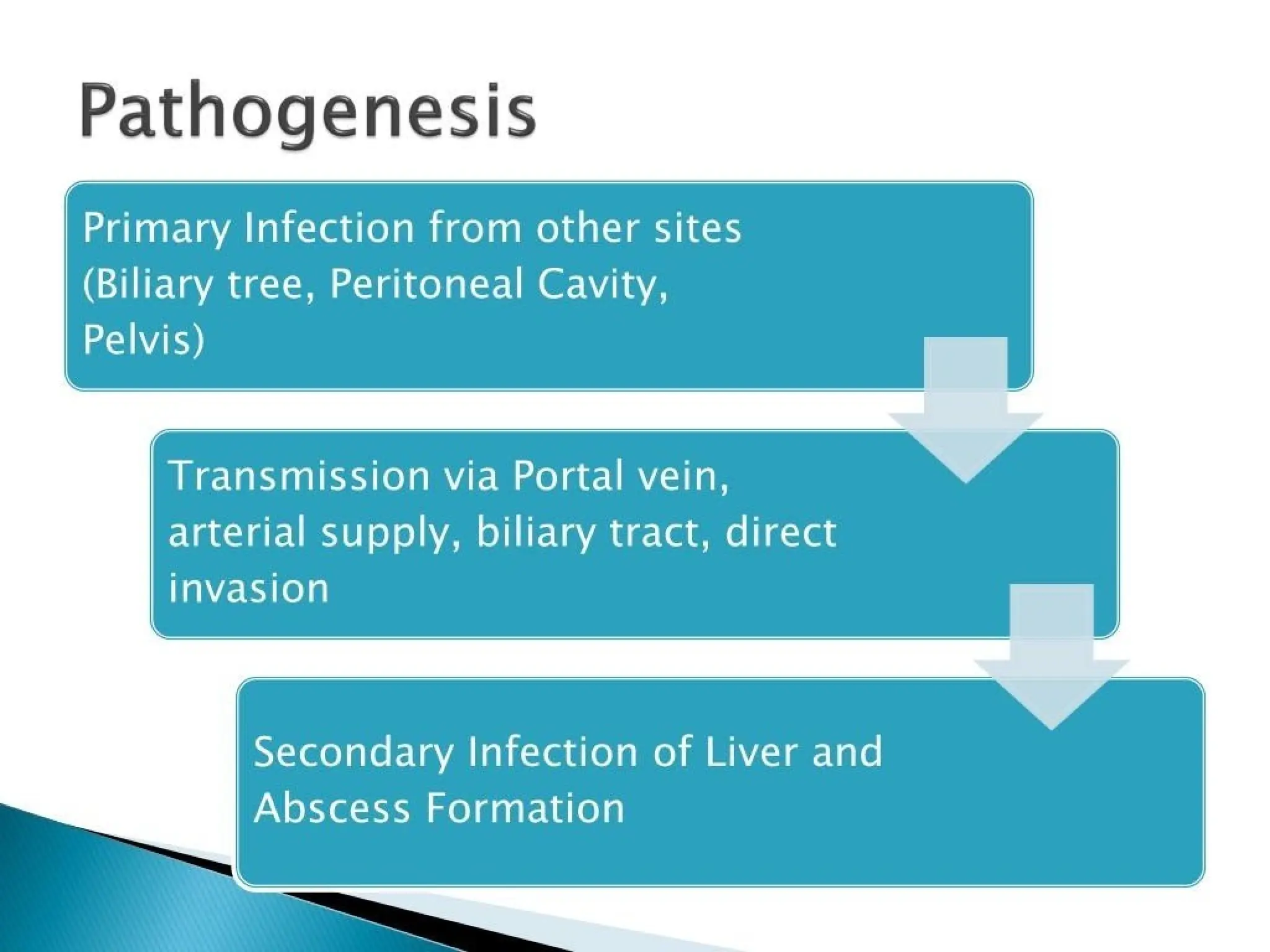Liver Abscess.pptxxxxxxxxxxxxxxxxxxxxxxx | PPTX
